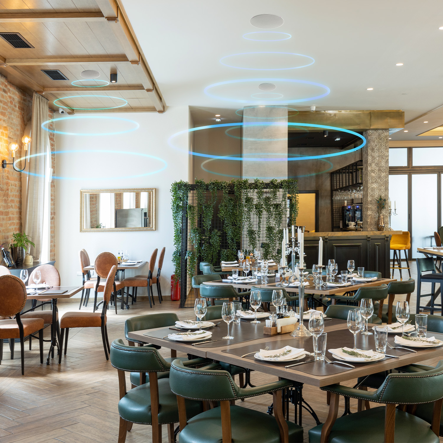 Restaurant speaker systems - Lithe Audio LTD